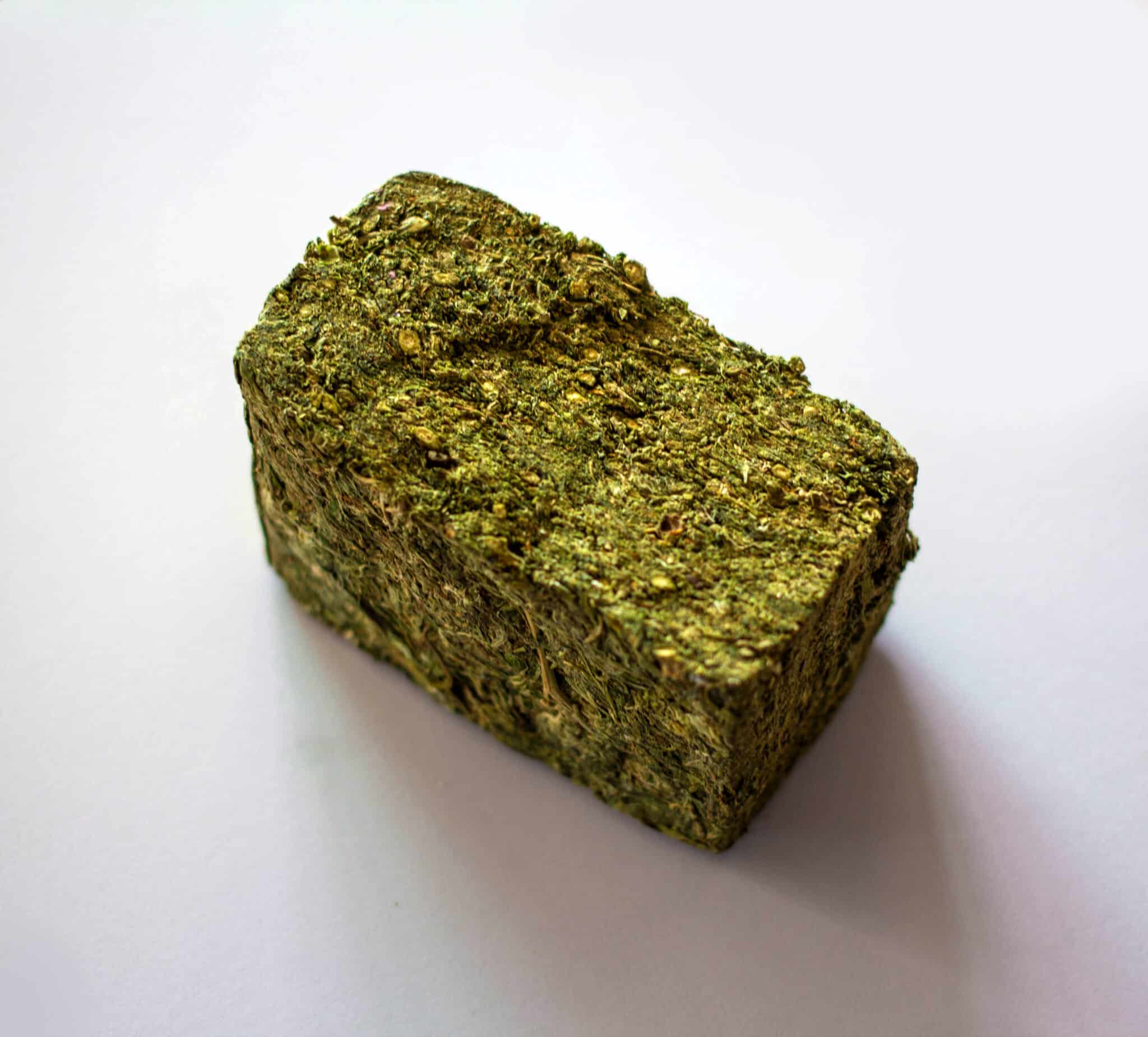 Brick Weed: Unveiling Its Secrets | Blimburn Seeds