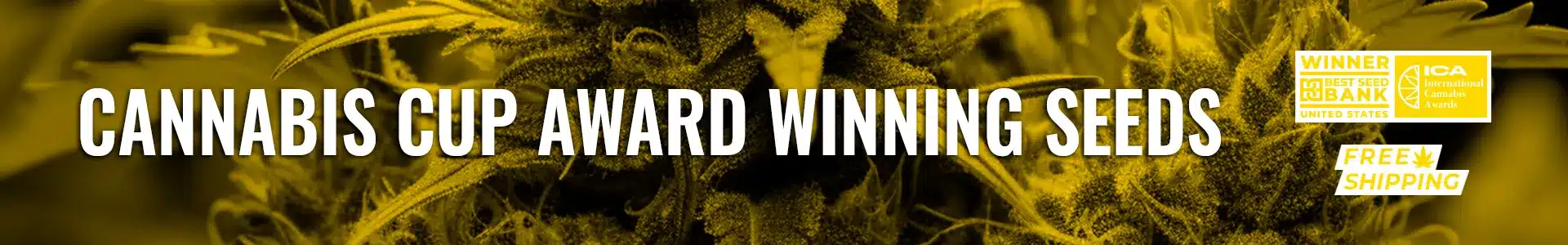 Cannabis Cup Winners | Free Shipping
