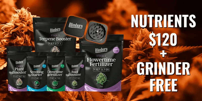 Blimburn Seeds Promos And Deals - Best Cannabis Seed Deals