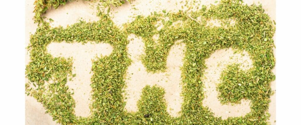 Can You Overdose on THC? Risks and Consequences