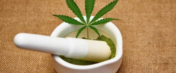 THC Powder: Production, Benefits, and Consumption