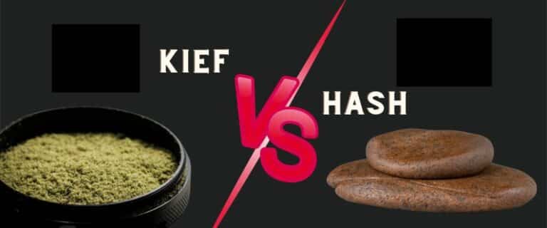 Kief vs Hash: Differences, Uses, and Benefits Explained
