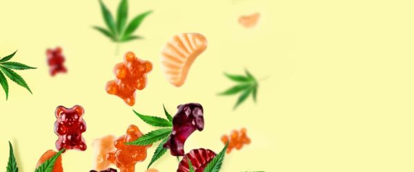 THC Gummy Dosage: Types, Effects, and Tips for Beginners