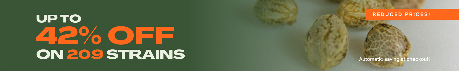 Buy Weed Seeds With Reduced Prices for Sale - Blimburn Seeds