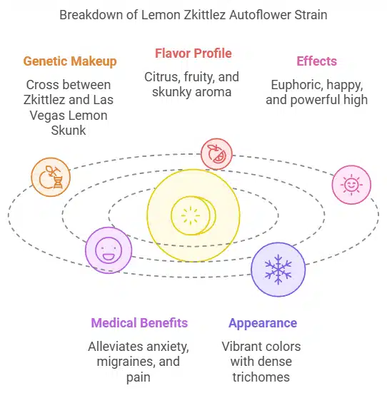 Lemon Zkittlez Autoflower Strain: A Unique Cannabis Experience