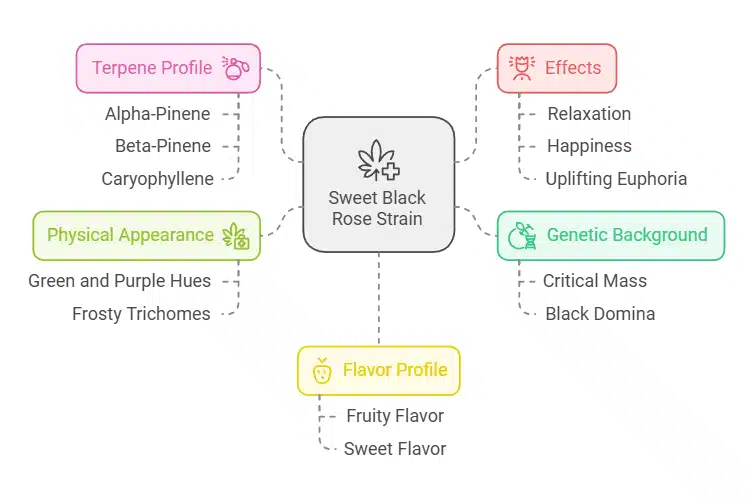 Grow Info Black Rose Regular Strain | Blimburn Seeds