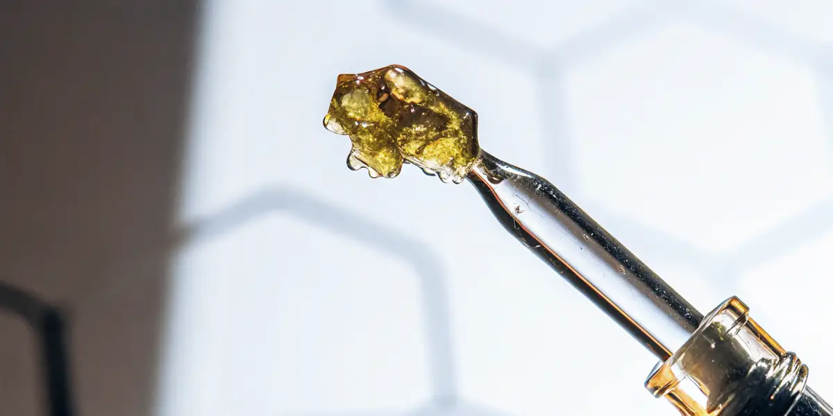 THCA Dabs: Powerful Cannabis Experience | Blimburn Seeds