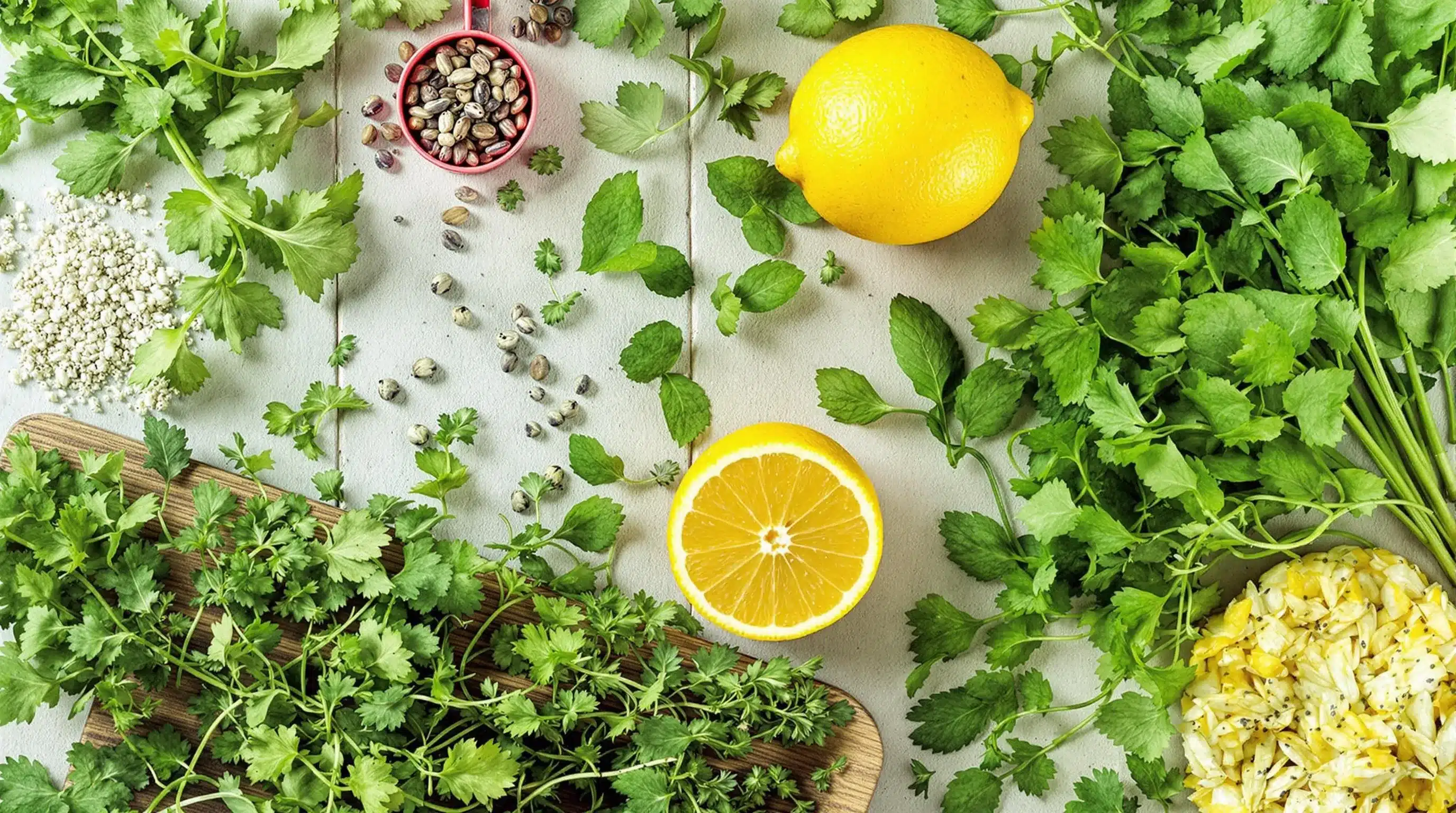 Best Detox for THC Drug Test | Blimburn Seeds