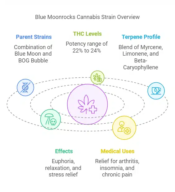 Grow Info Blue Moonrocks Weed Strain | Blimburn Seeds