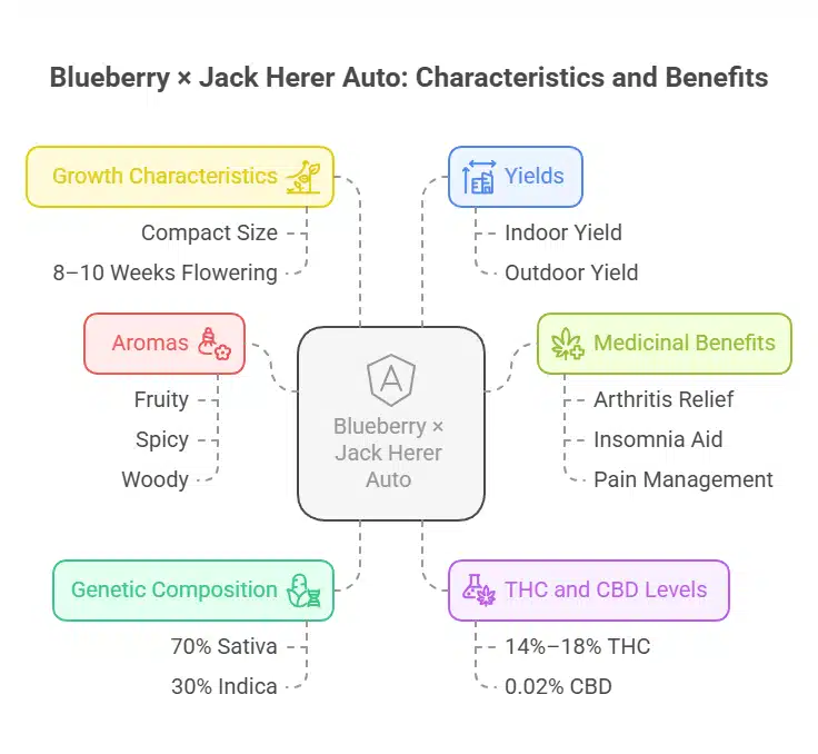Grow Blueberry × Jack Herer Autoflower: Uplifting Hybrid